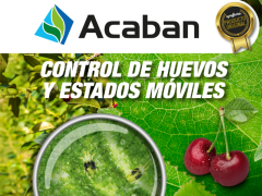 RETROSAL®: mejora el desempeño de tu cultivo en suelos salinos | Syngenta