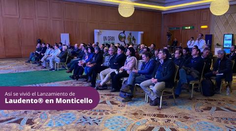 Lanzamiento de Laudento®: Syngenta Chile presentó un nuevo producto ...