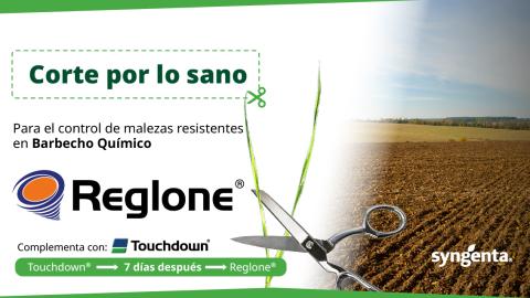 Syngenta | Chile