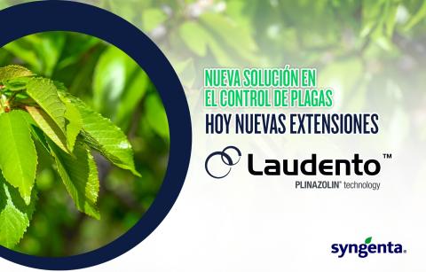 Syngenta | Chile
