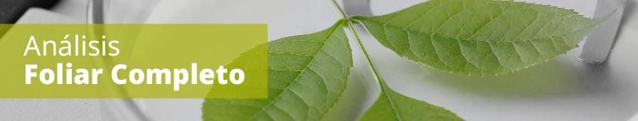 Análisis Foliar Completo | Syngenta