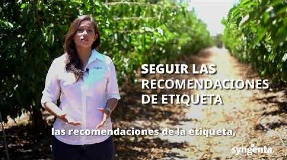 LAUDENTO® 200 SC - Acaricida,Insecticidas | Syngenta