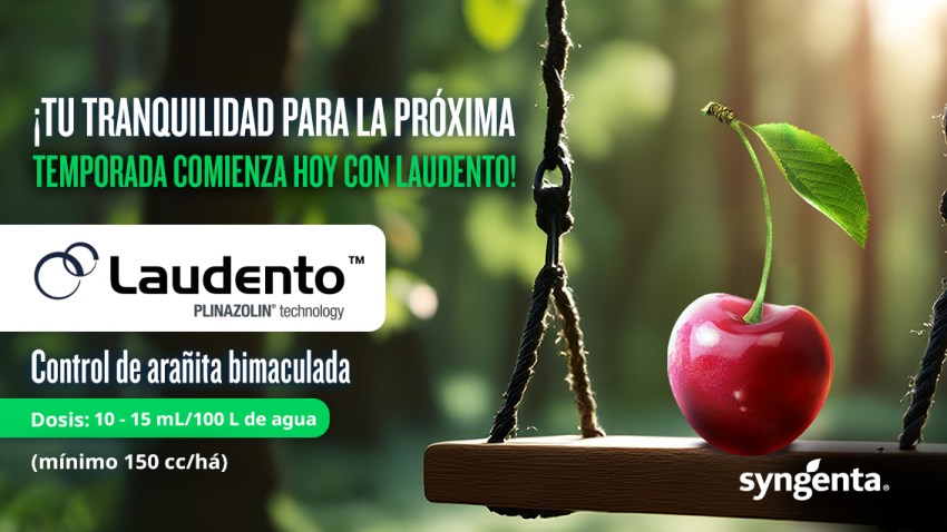 Syngenta | Chile